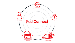 Rentokil UK Local Pest Control, Damp, Woodworm & Rot Experts