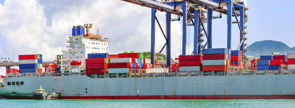 Fumigation transport maritime | Rentokil Martinique
