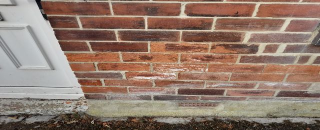 Damp on Walls | Causes and Treatments | Peter Cox