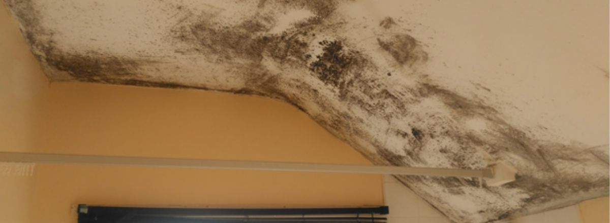 Anti-condensation paint | Condensation Specialists