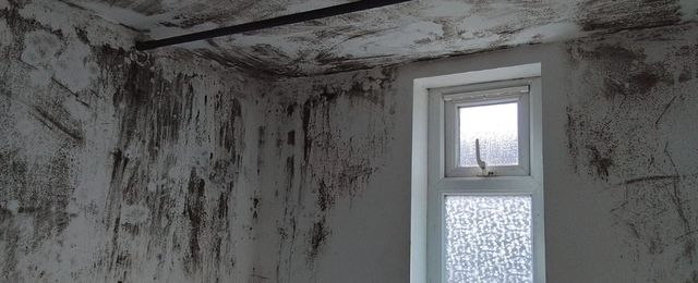 Early Signs Of Damp