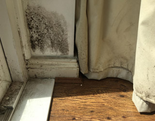 How to Identify Damp in the House | Spot the Signs | Peter Cox