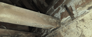 Differences between Wet Rot & Dry Rot | Professional Advice