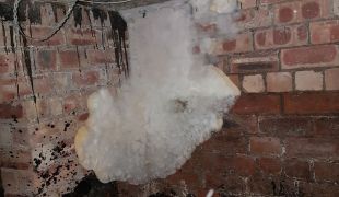What is Dry Rot? | Causes and signs | Specialist Advice