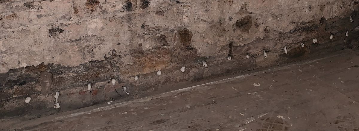 Damp Proof Injection | Remedial DPC for Rising Damp