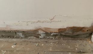 Early Signs Of Damp
