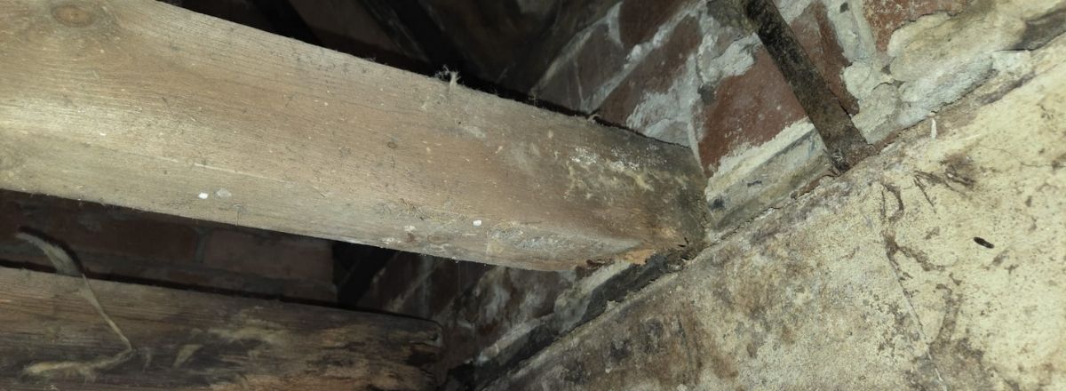 Rentokil Property Care | Damp, Rot and Woodworm Experts